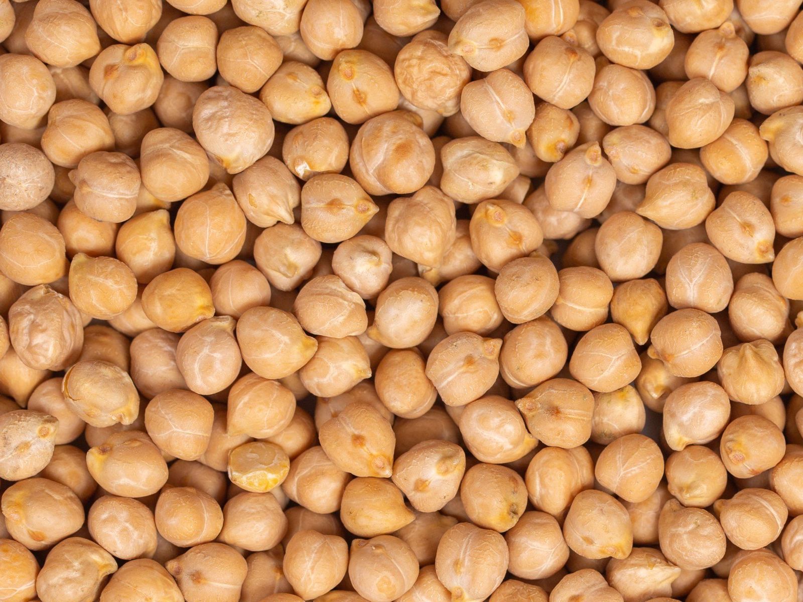 Flavor Expert - OSF Flavors