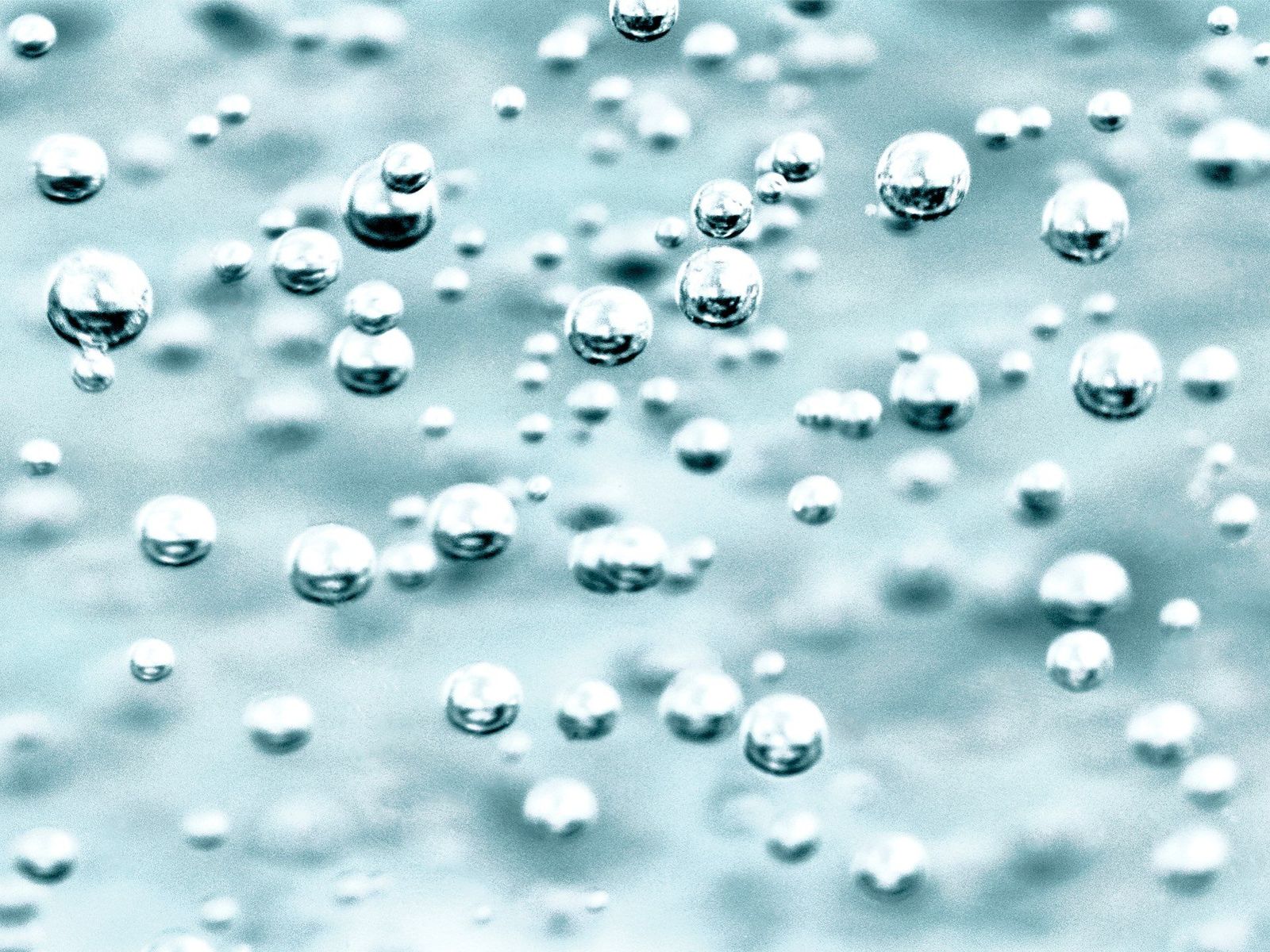 Flavor Expert - OSF Flavors