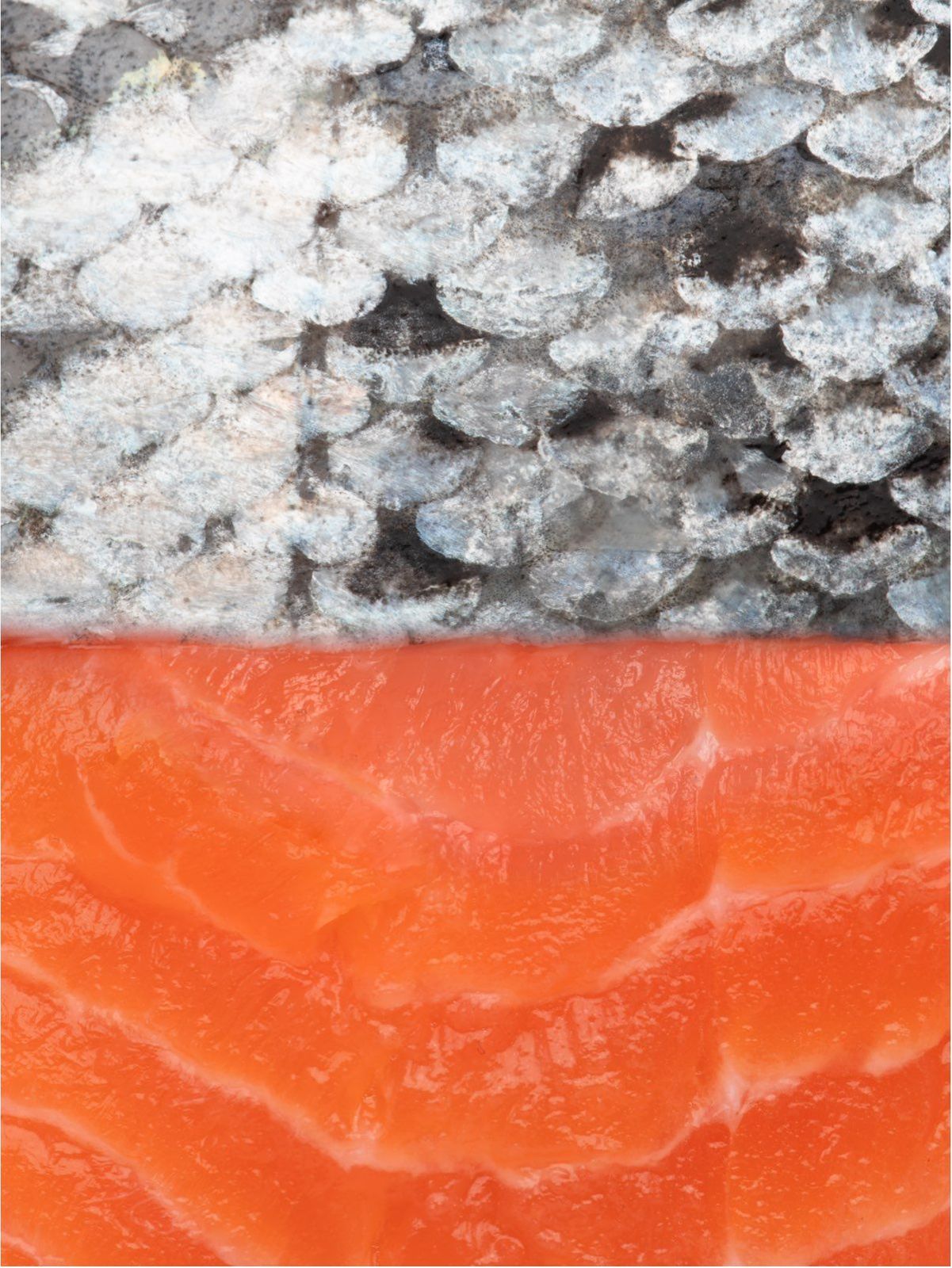 Organic & Natural Flavors - OSF Flavors