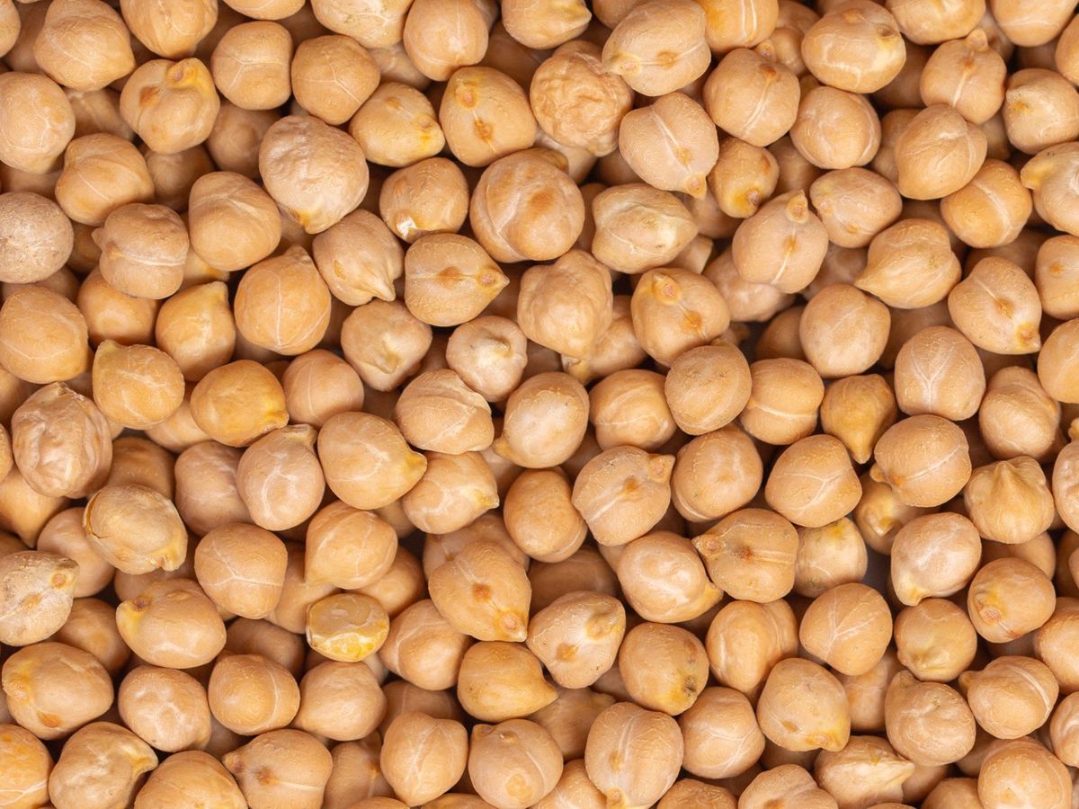 Flavor Expert - OSF Flavors