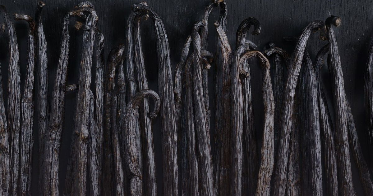 Flavor Solutions - OSF Flavors