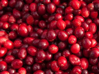 Flavor Expert - OSF Flavors